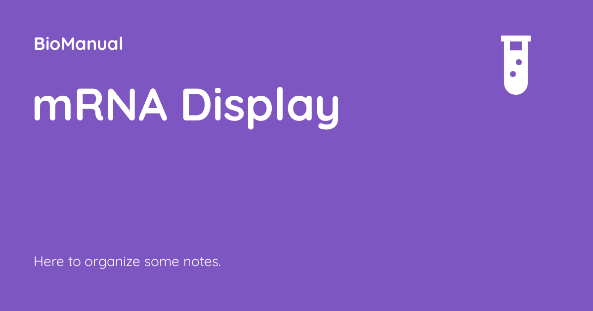 mRNA Display - BioManual