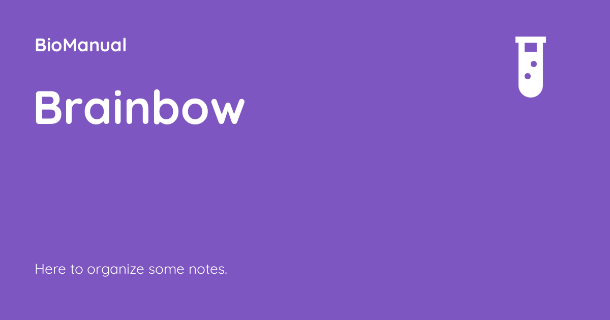 Brainbow - BioManual